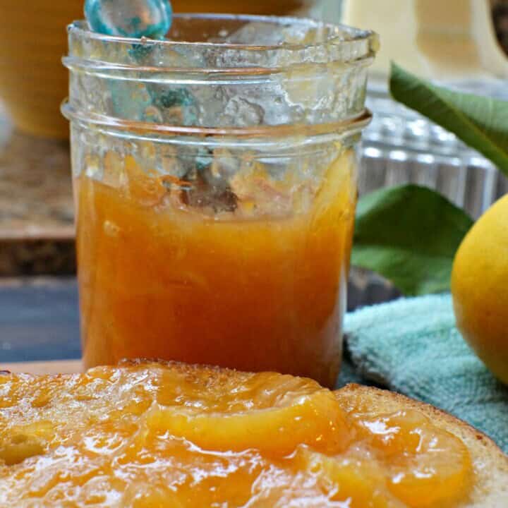 Persimmon Lemon Marmalade — At Home with Rebecka