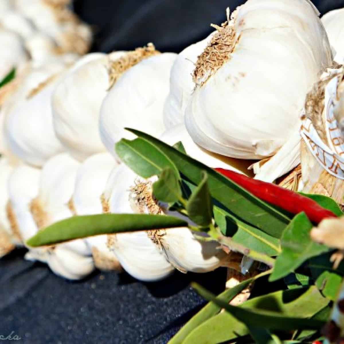 Gilroy Garlic Festival 2015 - The Great Garlic Cook-Off — At Home with ...